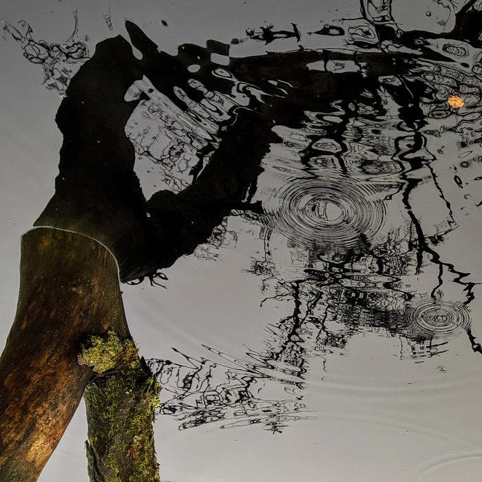 Formation | Ljudvägg & Hall | Ljudvägg