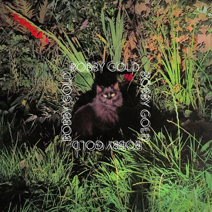 Bobby Gold | Bobby Gold