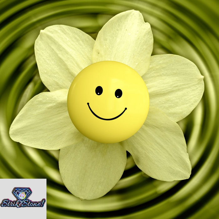 303 Day Vol. 1 | StrikeStone!