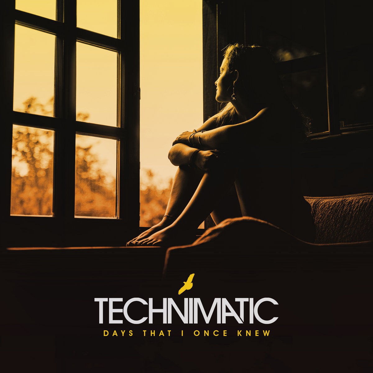 Days That I Once Knew | Technimatic