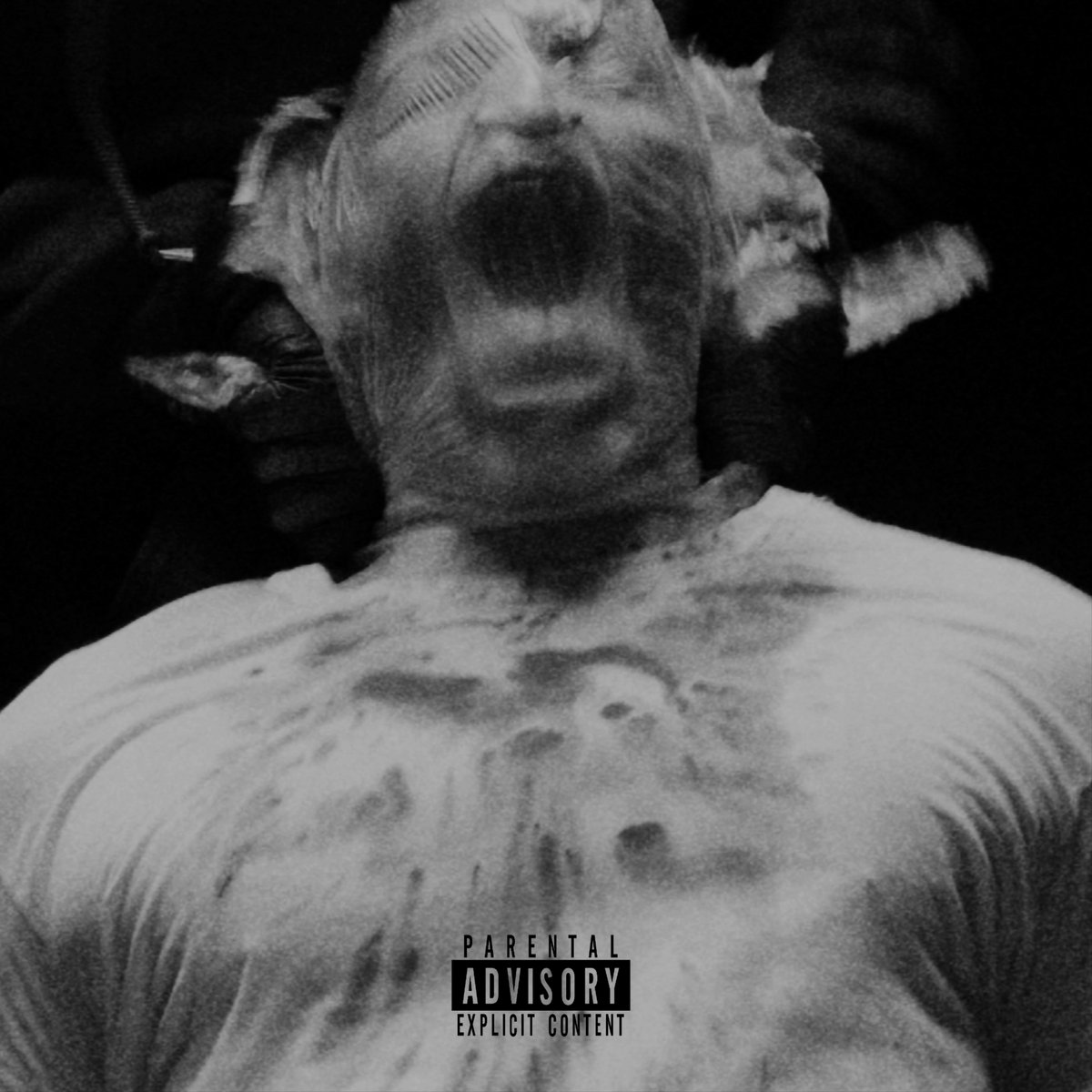 Circumvent STRANGLED circumvent-strangled