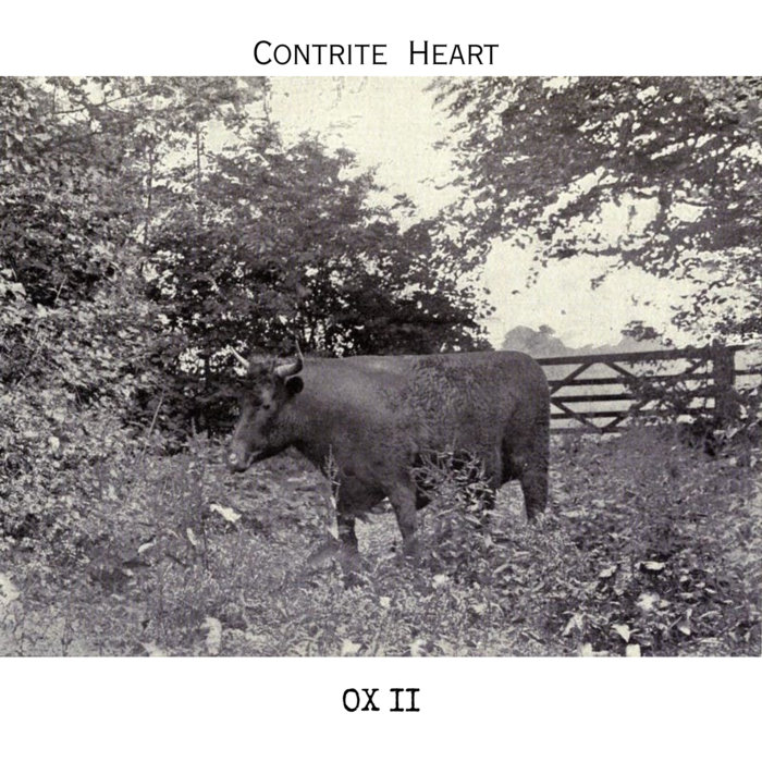 Ox 2 (physical on NotF) | Contrite Heart | MILITANT LITURGY