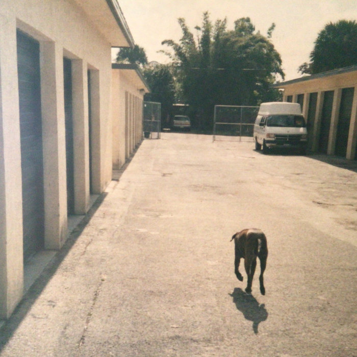 Salvador Dali’s Dog | Jeff Merrow