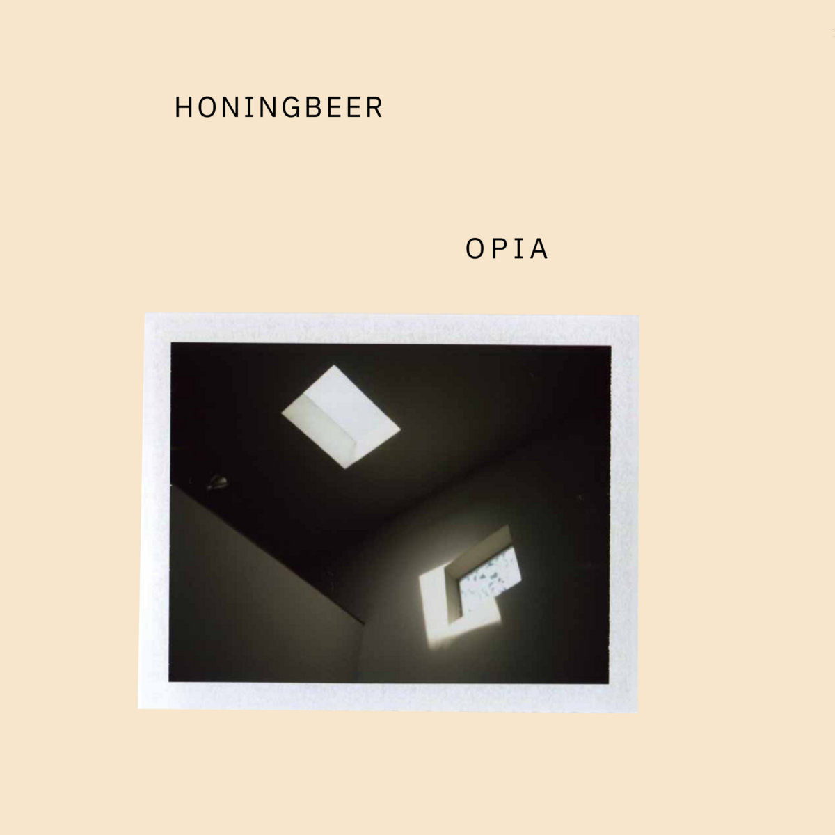 Opia | Honingbeer | Bigamo