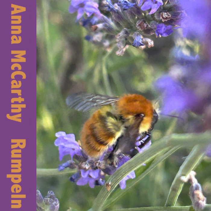 People Hound Me / Lavender Bush | Anna McCarthy + Rumpeln | Rumpeln