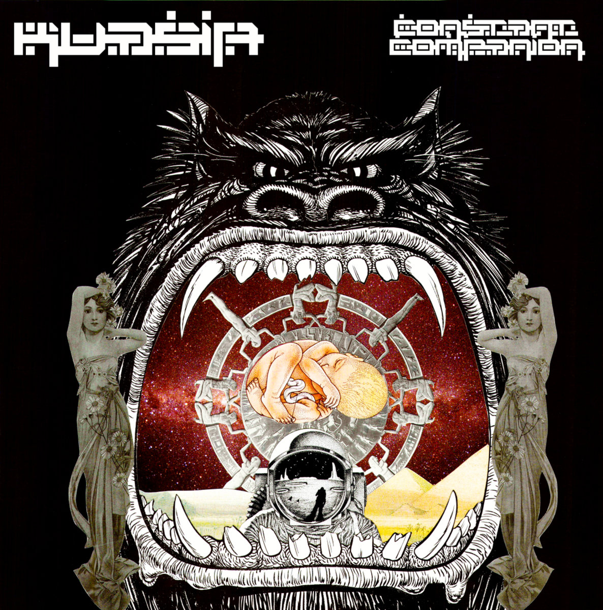 Constant Companion | Kvasir