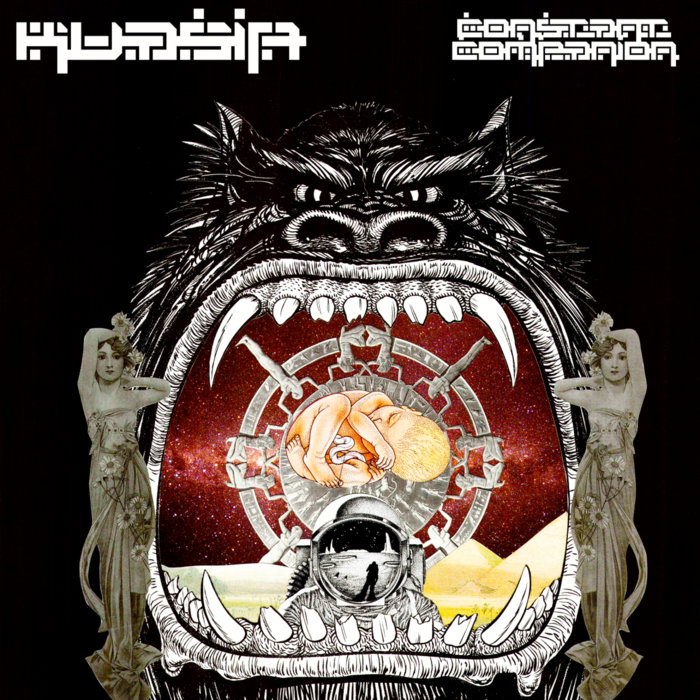 Constant Companion | Kvasir