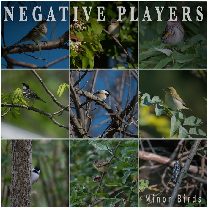 Minor Birds | Negative Players