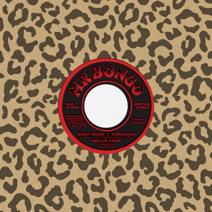 Night Night | Hollie Cook Ft. Horseman | Hollie Cook