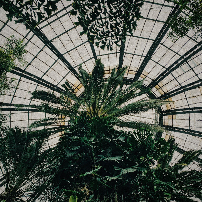 Local Musicians | Clapper The Rapper