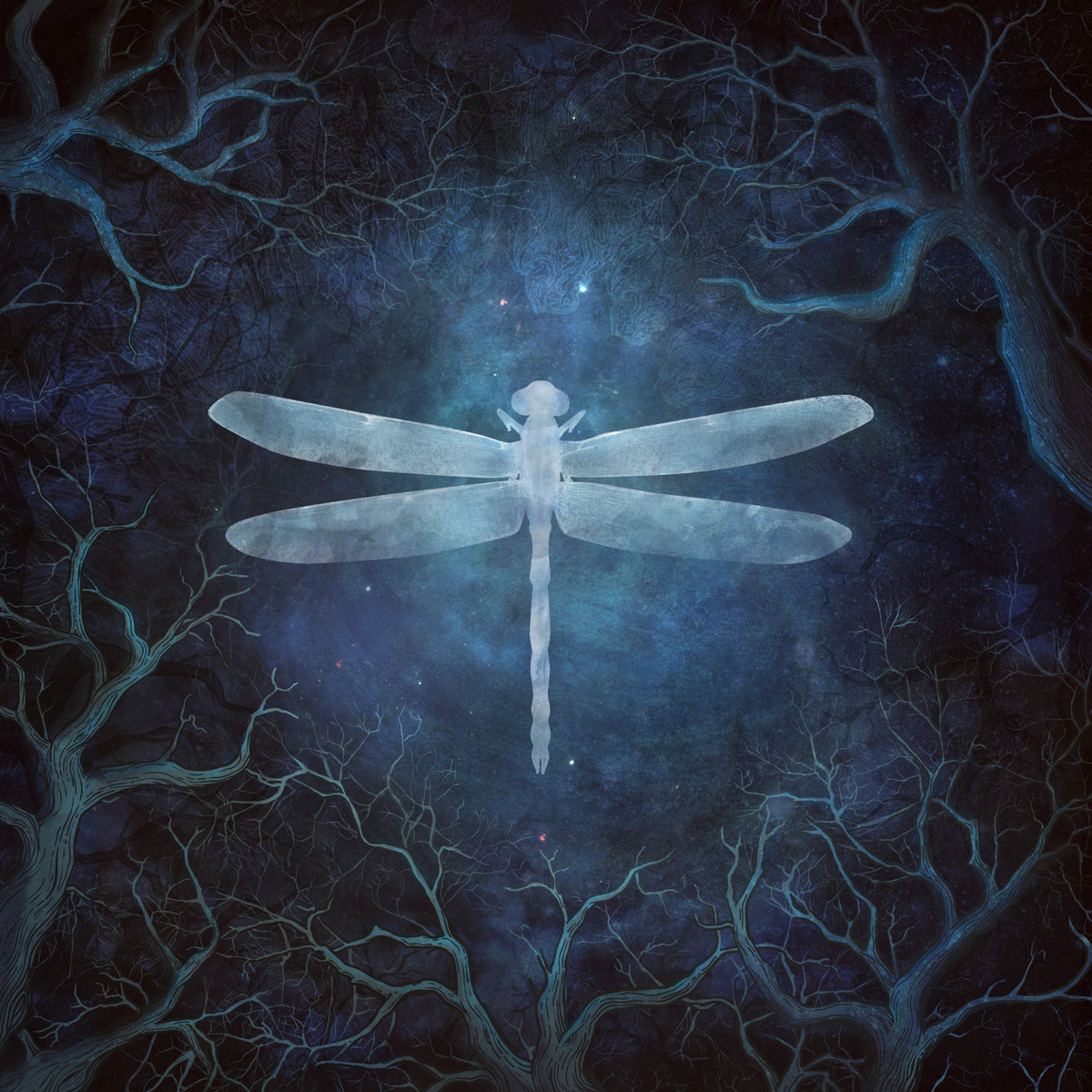 Odonata - 20th Anniversary Edition | Amethystium