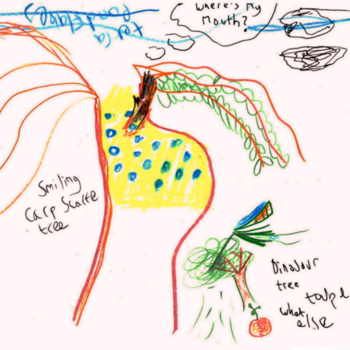 Smiling Carp | Le Bashaire
