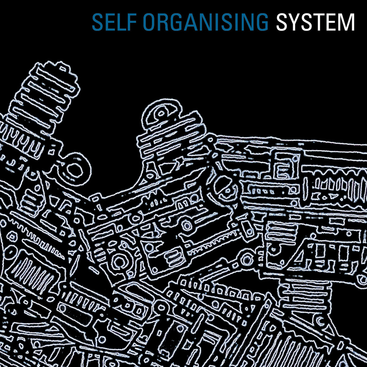 Self Organising System | System
