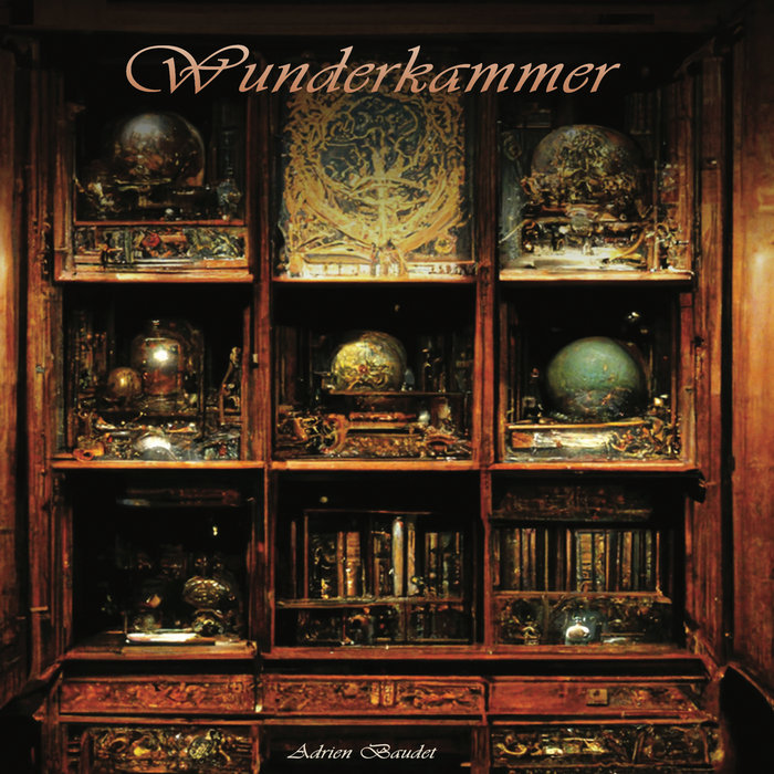 WUNDERKAMMER | Adrien Baudet
