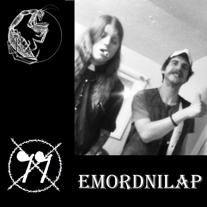 EMORDNILAP [ERR-015] | Toxodera