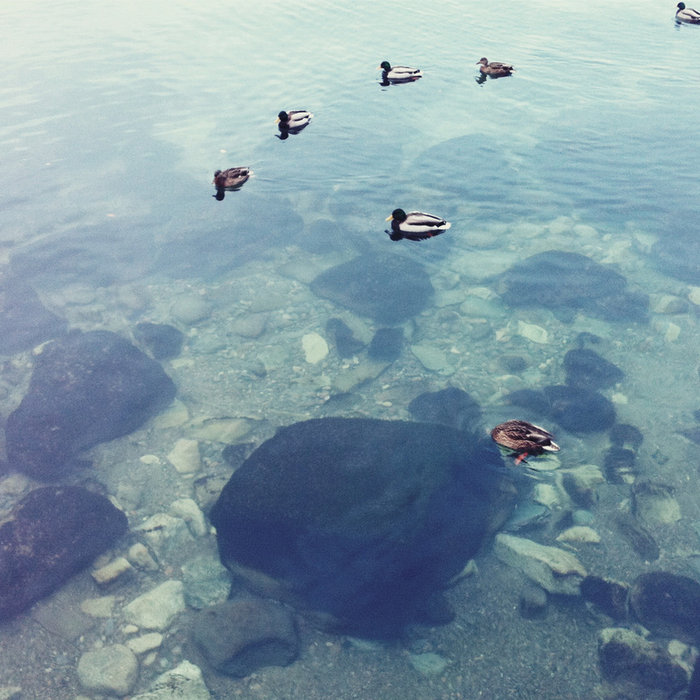 US OIL | Devil You Know