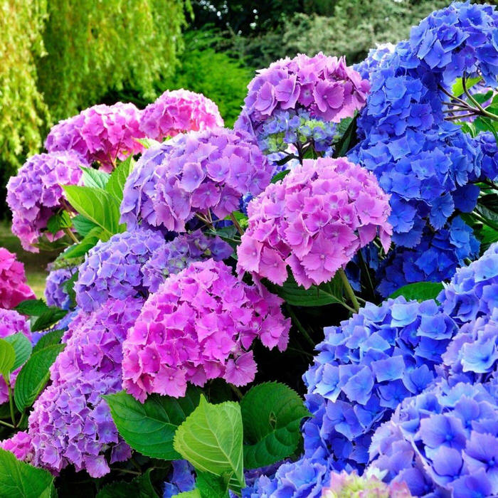 Cartas a Madrid | dzain indie electrotrash