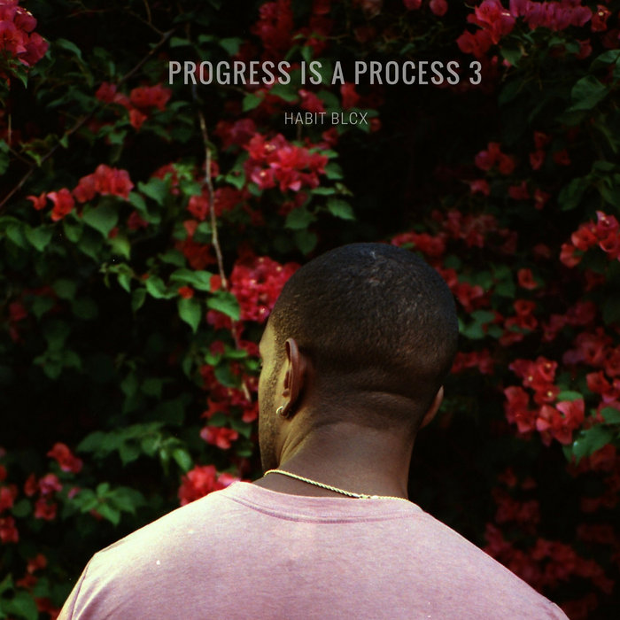 Progress is a Process 3 | Habit Blcx