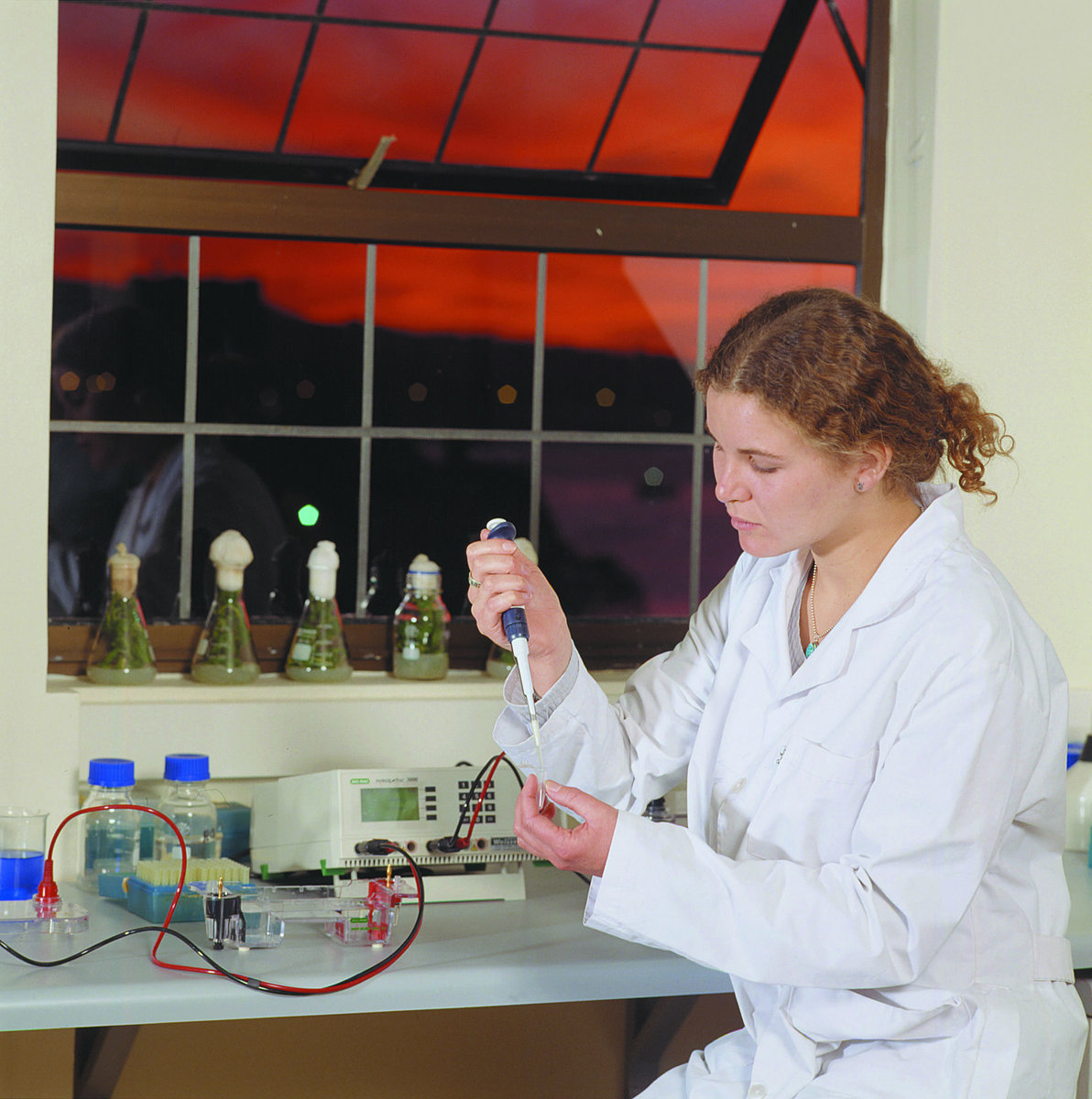 Prueba De Kligler Pdf Download | Farrilea | colsurfreteade