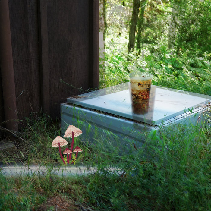 Pacific Walker | Pacific Walker | Michael James Tapscott