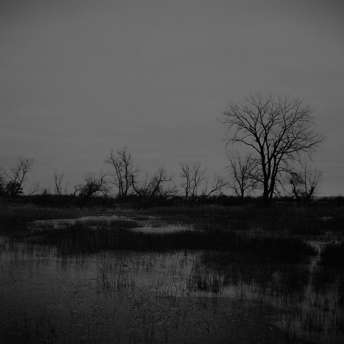 Shadows Distorted by Torch Light | Cursed Caverns