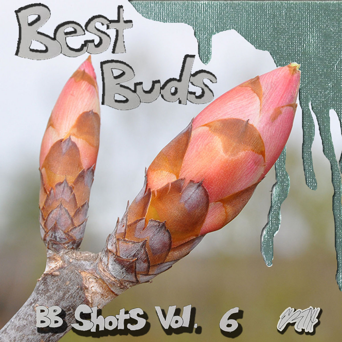 BB Shots Vol. 6 Best Buds | Erth