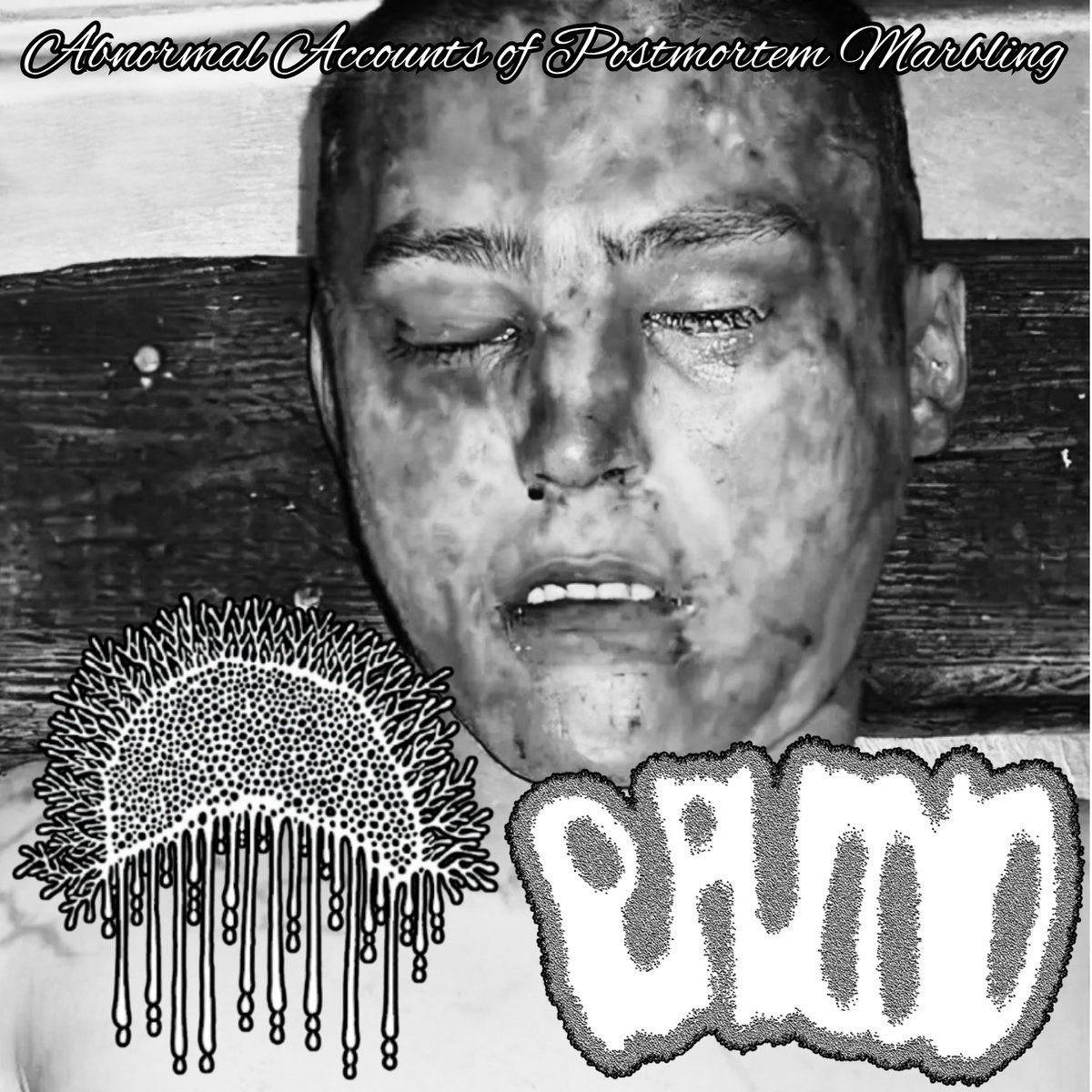 Split W/ Puruloid | The Noise Monk