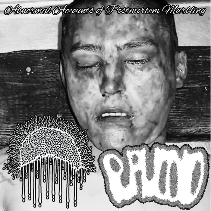 Split W/ Puruloid | The Noise Monk