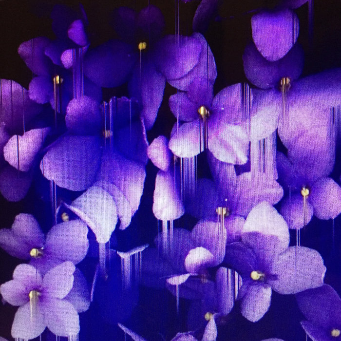 Invisible Violets | merveilleuse