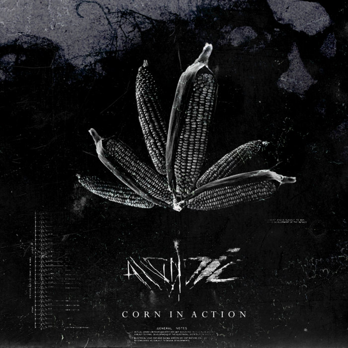 CORN IN ACTION | A\D D/L