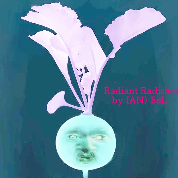 Radiant Radishes | {AN} Eel