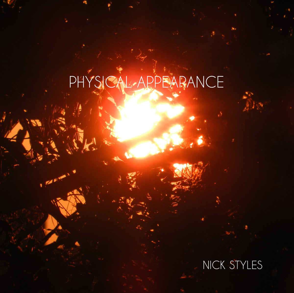 Physical Appearance | Nick Styles