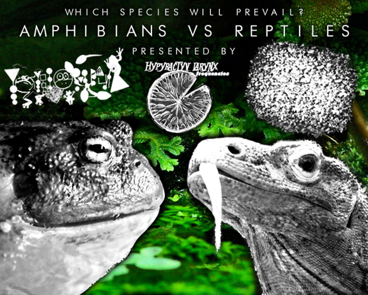 Amphibians Vs Reptiles (Full Split) | Varanus Komodoensis vs ...