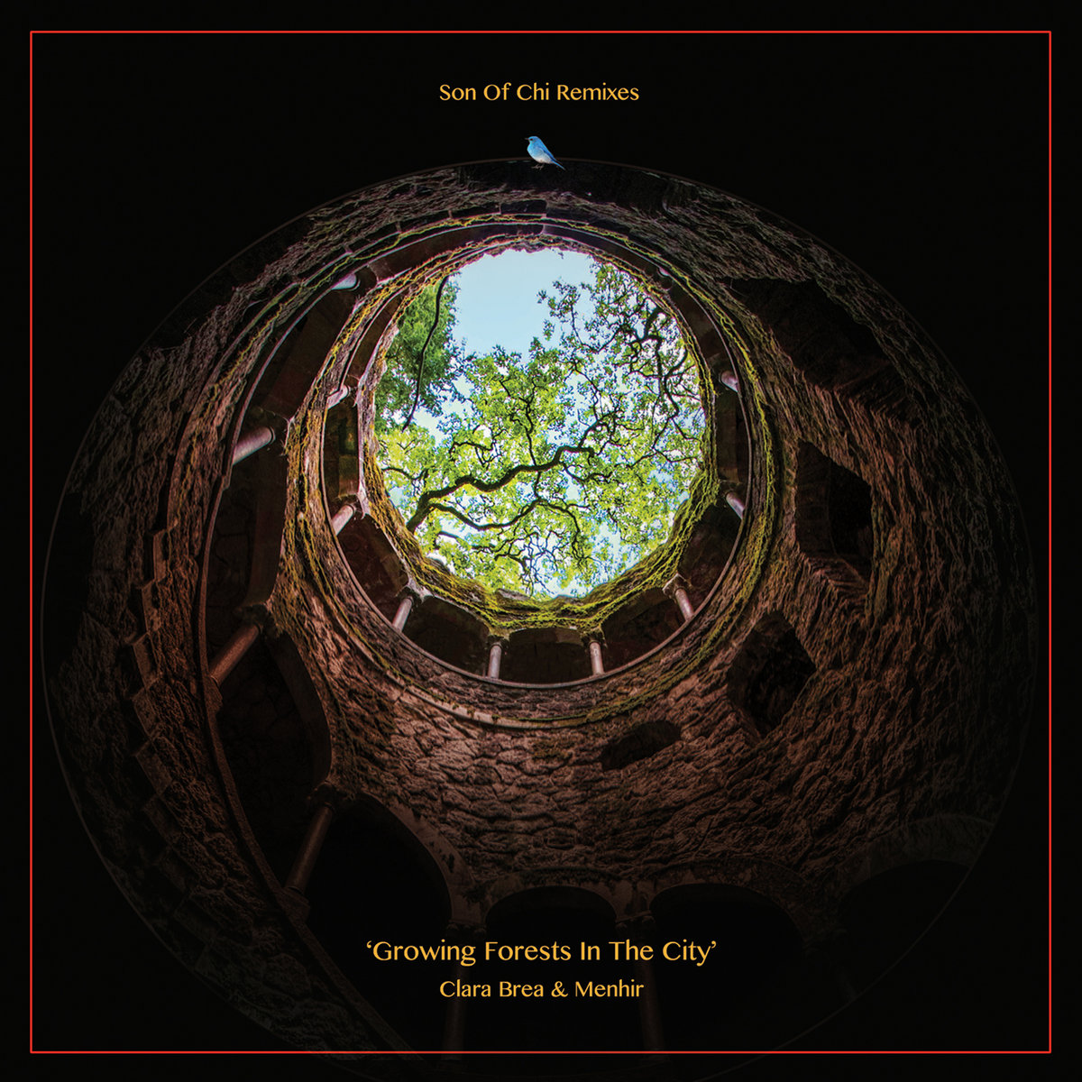 Growing Forests In The City - Clara Brea & Menhir | Son Of Chi Remixes ...