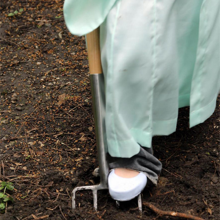 What is a Year | Daniel Cherney | Verlag