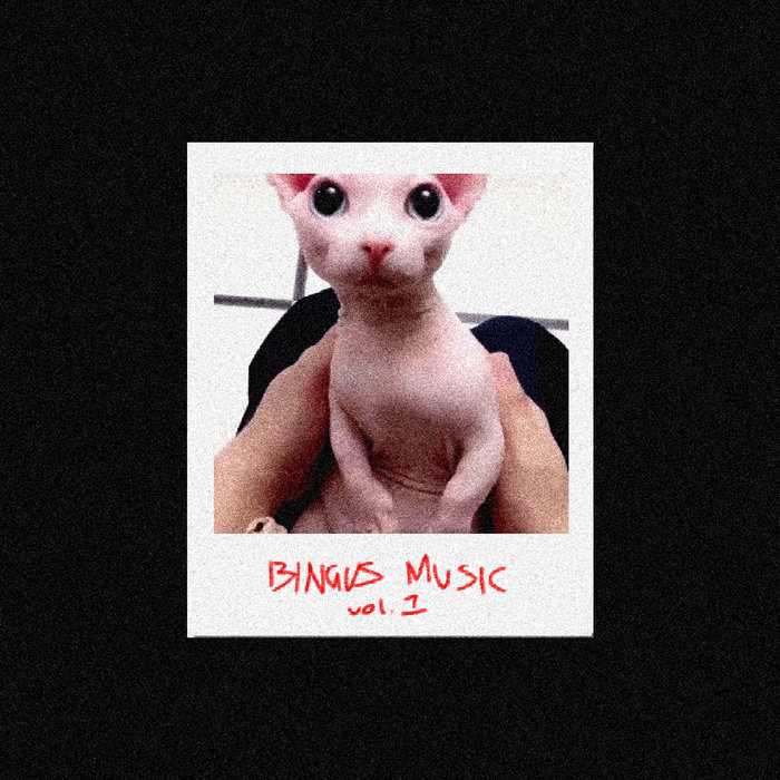 BINGUS MUSIC VOL. 1 | bingus collective