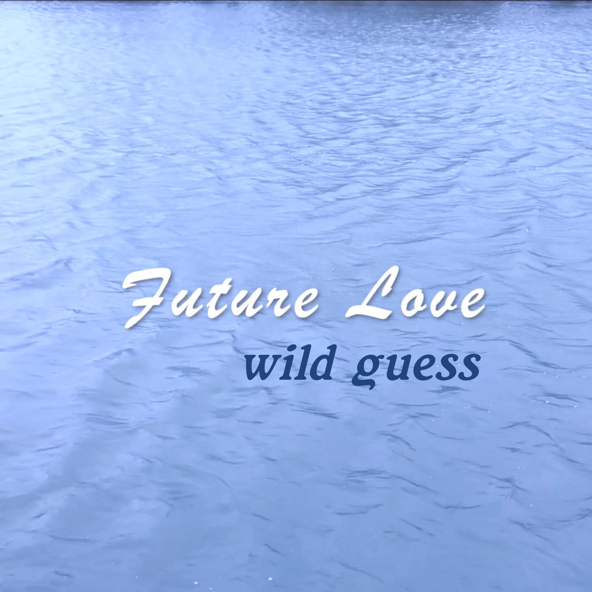Wild guess | Future Love