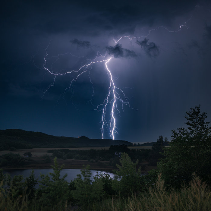Nature Bloom - Roots of Thunder | Polyphonic Waves