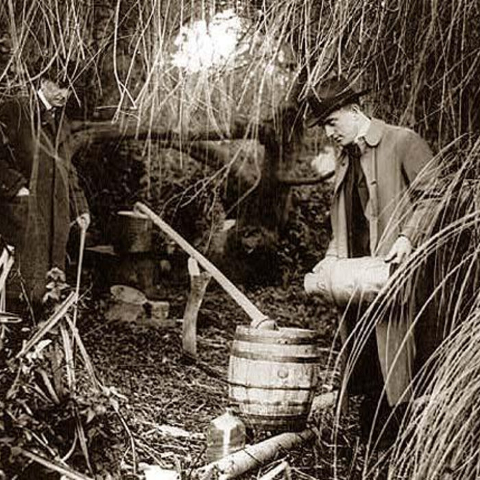 Bill Cheatham | Short Hill Mountain Boys