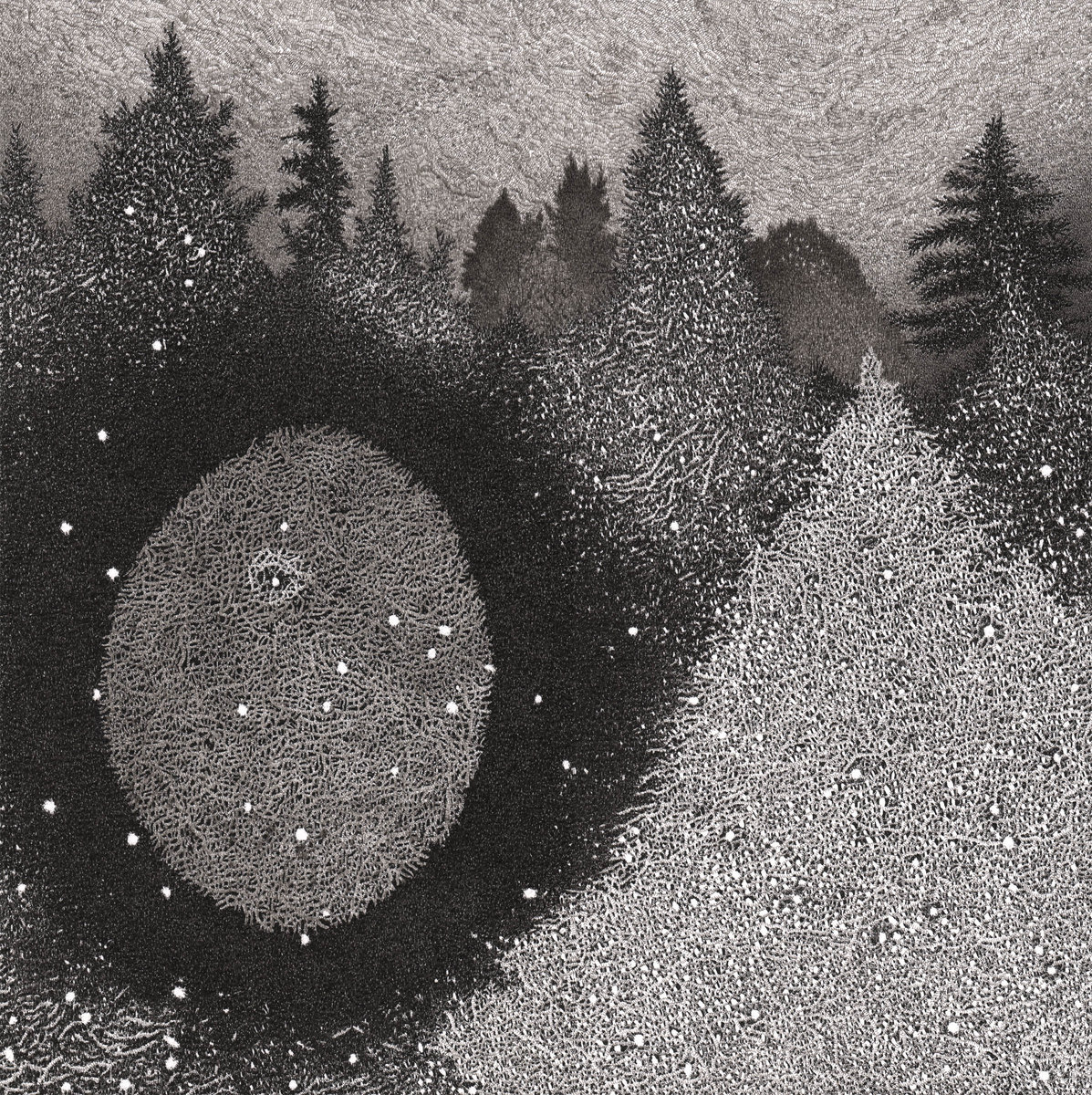 Oak Lace Apparition | Alora Crucible | Kayo Dot (and the music of Toby ...