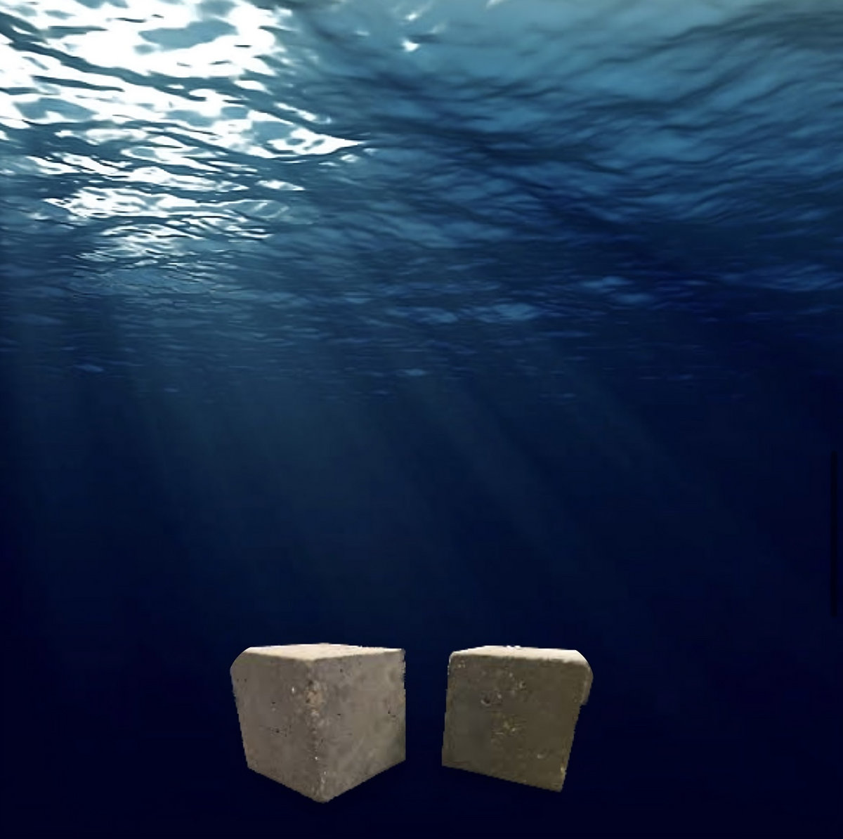 Concrete Ocean | William Land