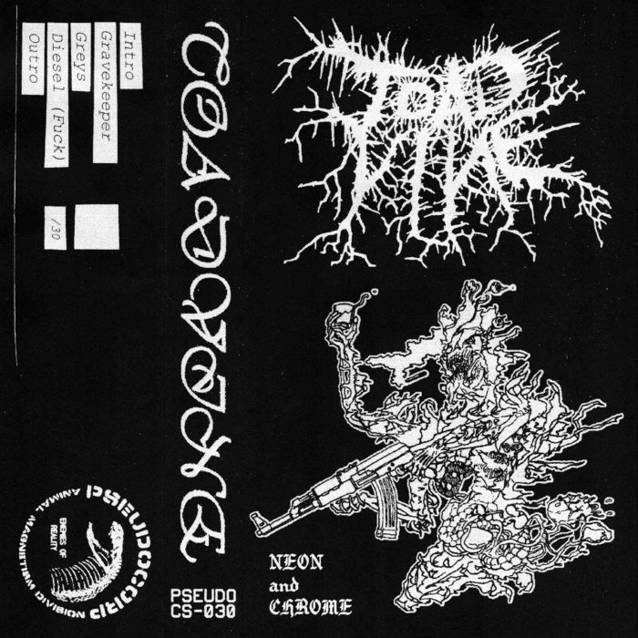 Neon and Chrome | Toadvine | PSEUDOCORP