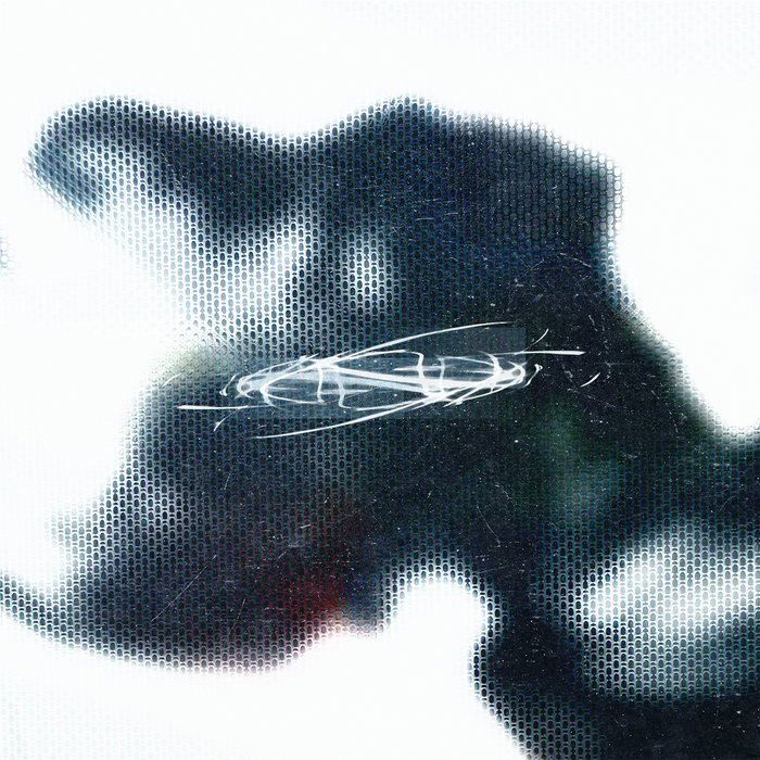 Spatial Fix | Conna Haraway