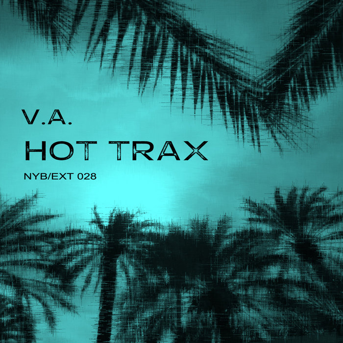 Hot Trax | V.A. | Noisybeat Extended