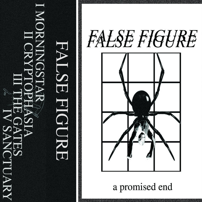FALSE FIGURE - A PROMISED END | FALSE FIGURE | Transylvanian Recordings