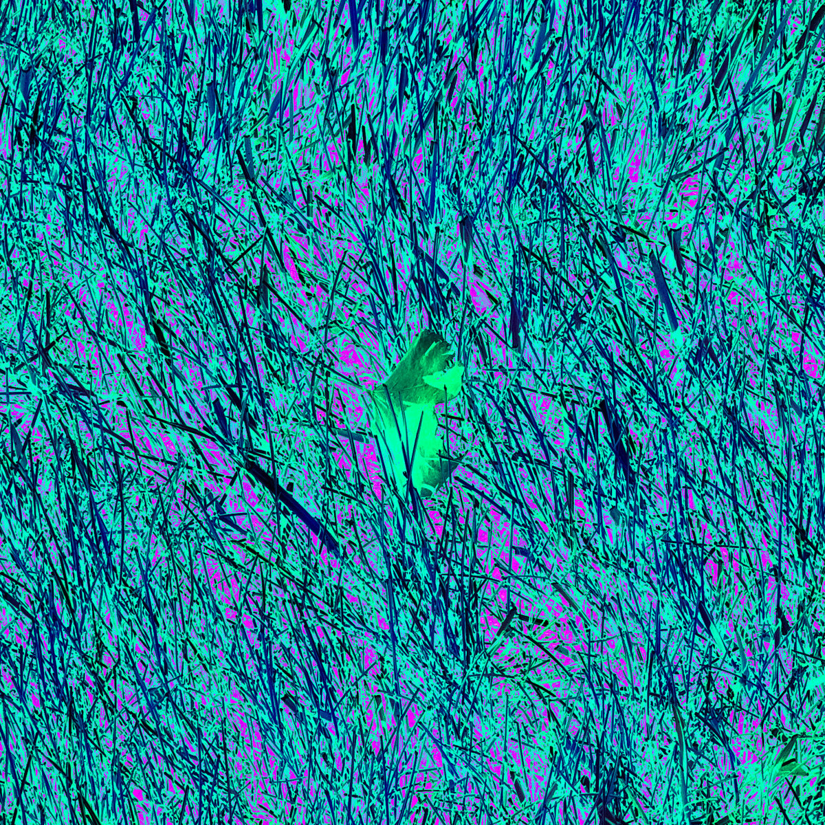 Same Place, Same Time | Elderberry Industries