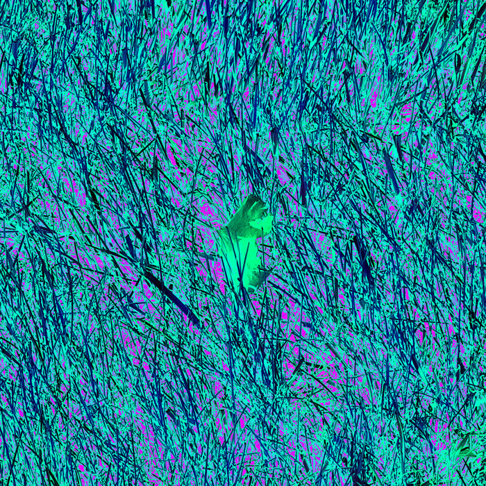 Same Place, Same Time | Elderberry Industries