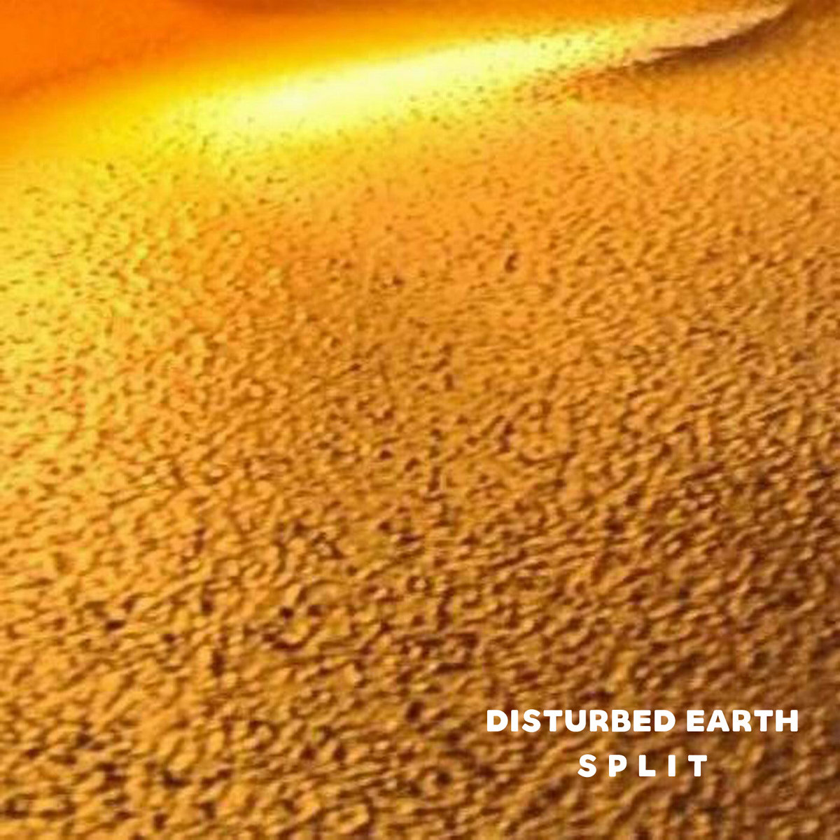 Split | Disturbed Earth