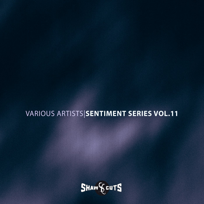 Sentiment Series Vol.11 | Various Artists | Shaw Cuts