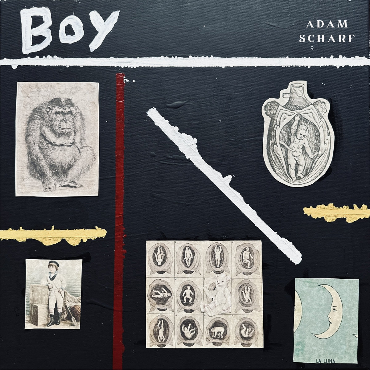 Boy | Adam Scharf